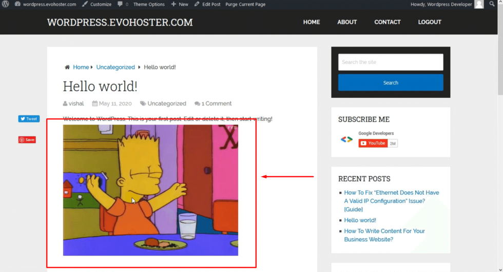 How To Add Animated GIFs In WordPress - Digital Suncity