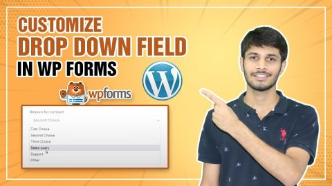 How To Customize Drop-Down Field In WPForms