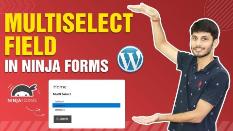 How To Use The Multiselect Field In Ninja Forms - Digital Suncity